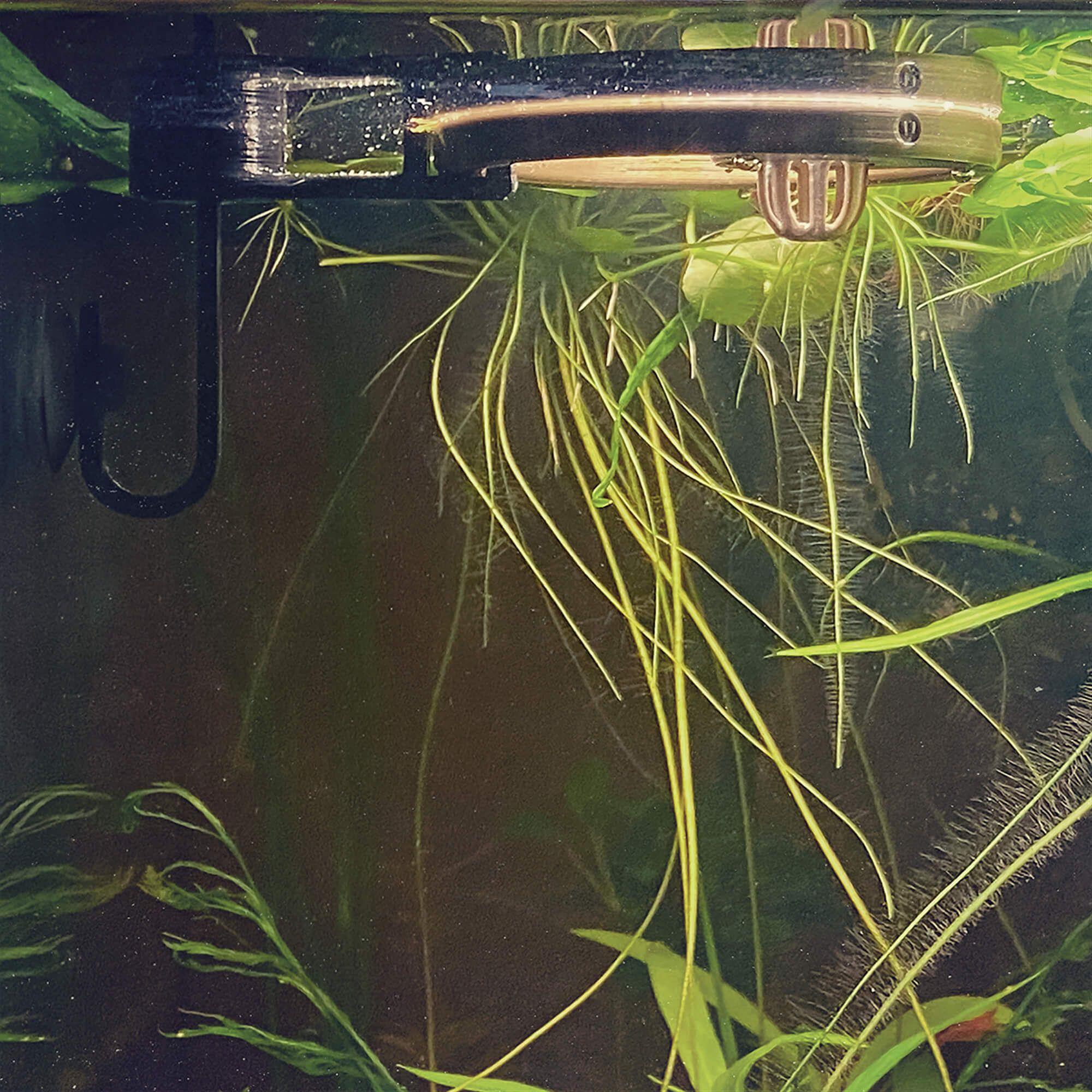 Fish Portals and Surface Dividers | Aquascape byMazy